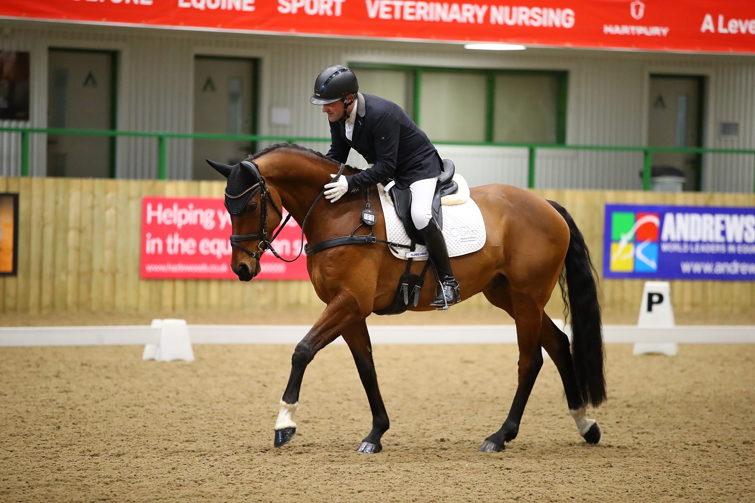 Hartpury BD 18/3/23 - Equine Event Galleries - 2023 - Jasmine Punter ...
