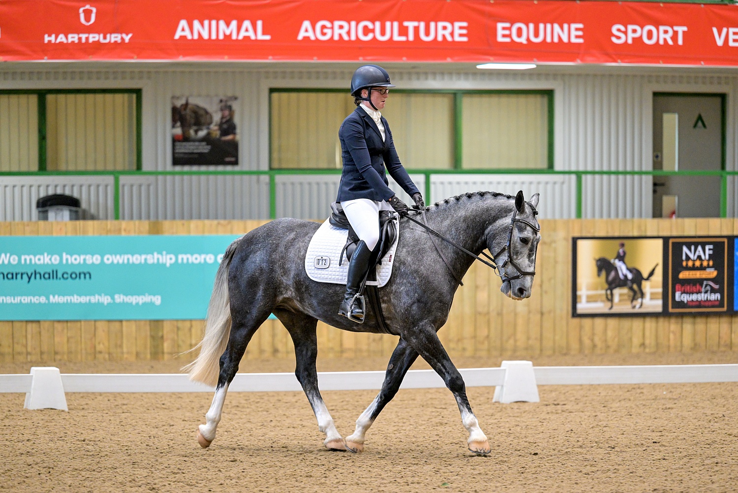 Hartpury Unaff Dressage - 14/5/23 - Equine Event Galleries - 2023 ...