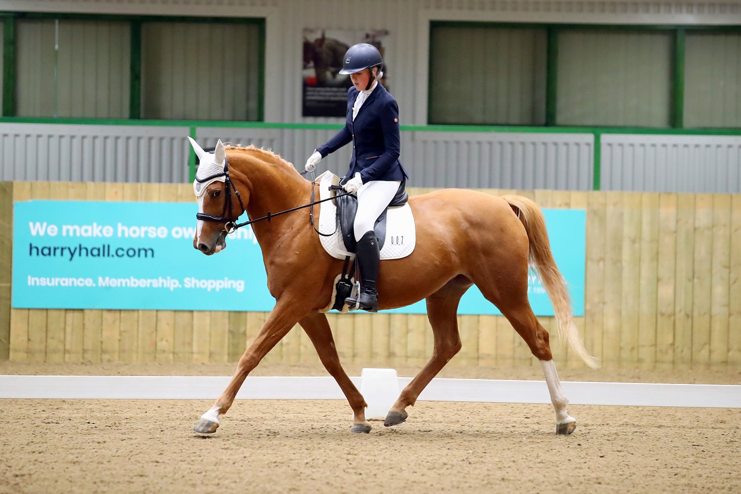 Hartpury Unaff Dressage - 16/9/23 - Equine Event Galleries - 2023 - Jasmine Punter Photography