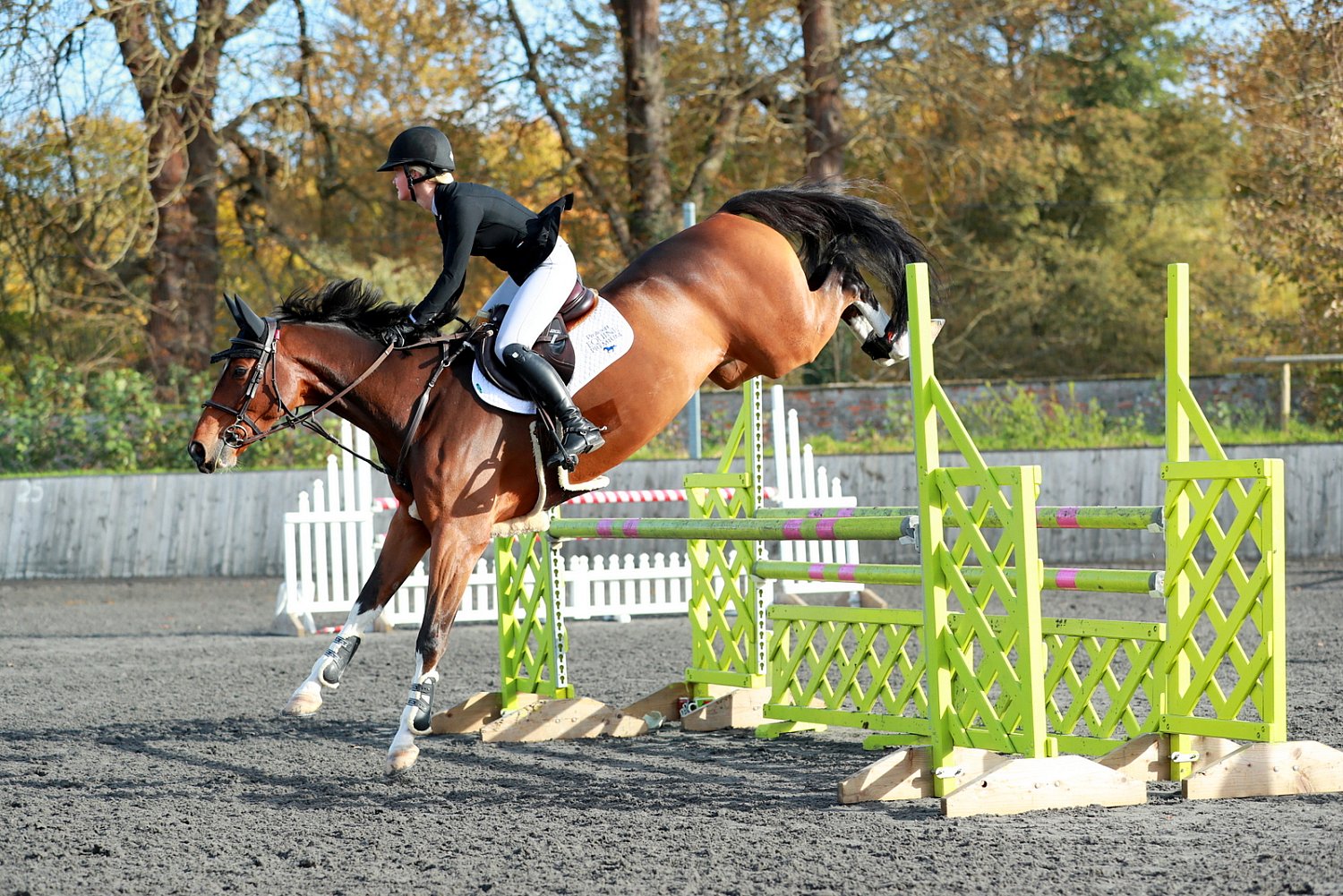 Tedworth BS - 6/11/12 - Equine Event Galleries - 2023 - Jasmine Punter ...