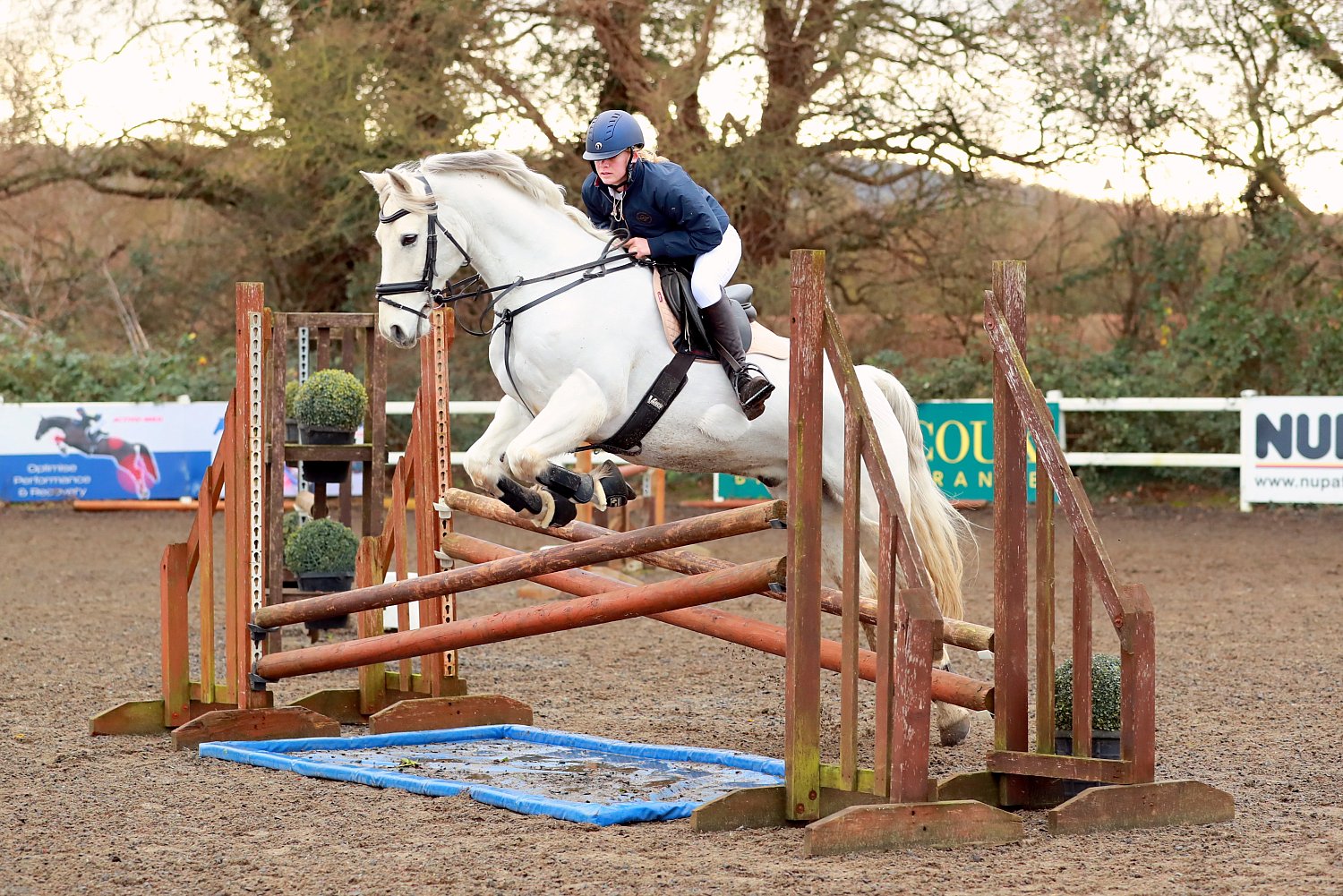 Prestige Arena Eventing - 6/1/24 - Equine Event Galleries - 2024 ...