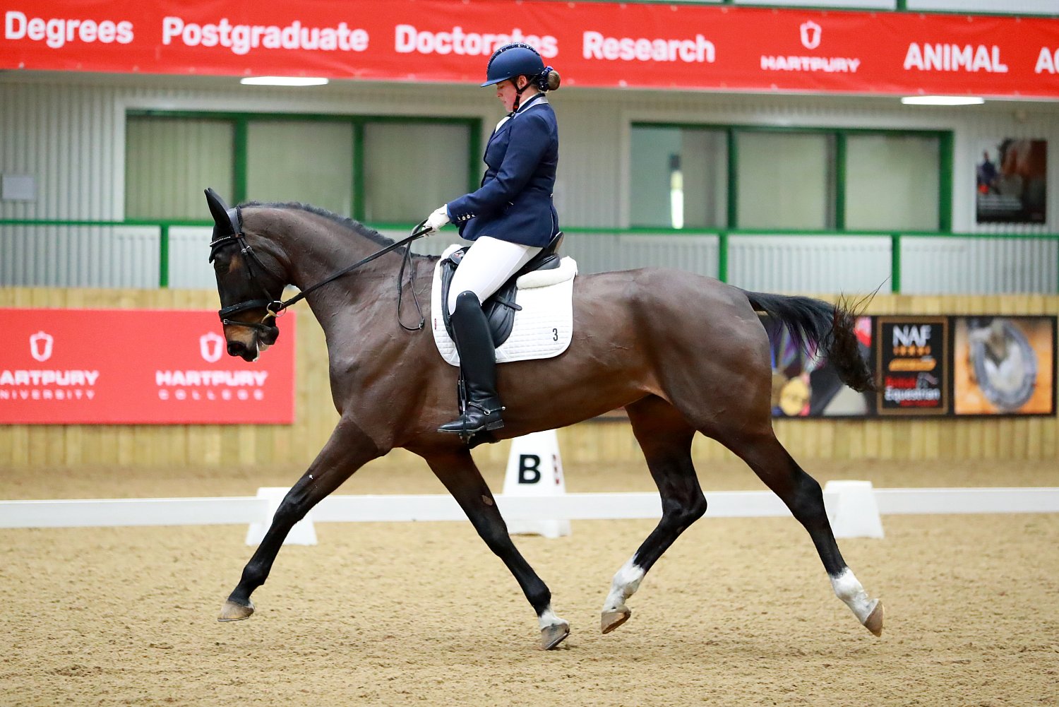 Hartpury BD - 13/1/24 - Equine Event Galleries - 2024 - Jasmine Punter ...