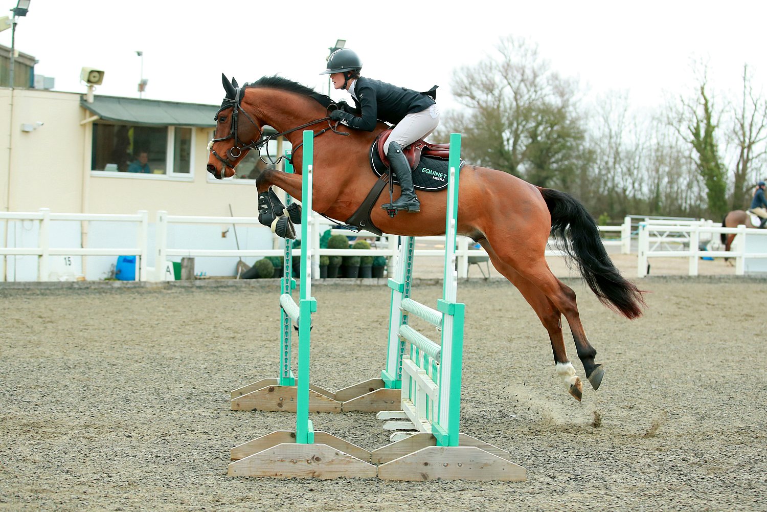 Prestige BS - 6th February 2024 - Equine Event Galleries - 2024 ...