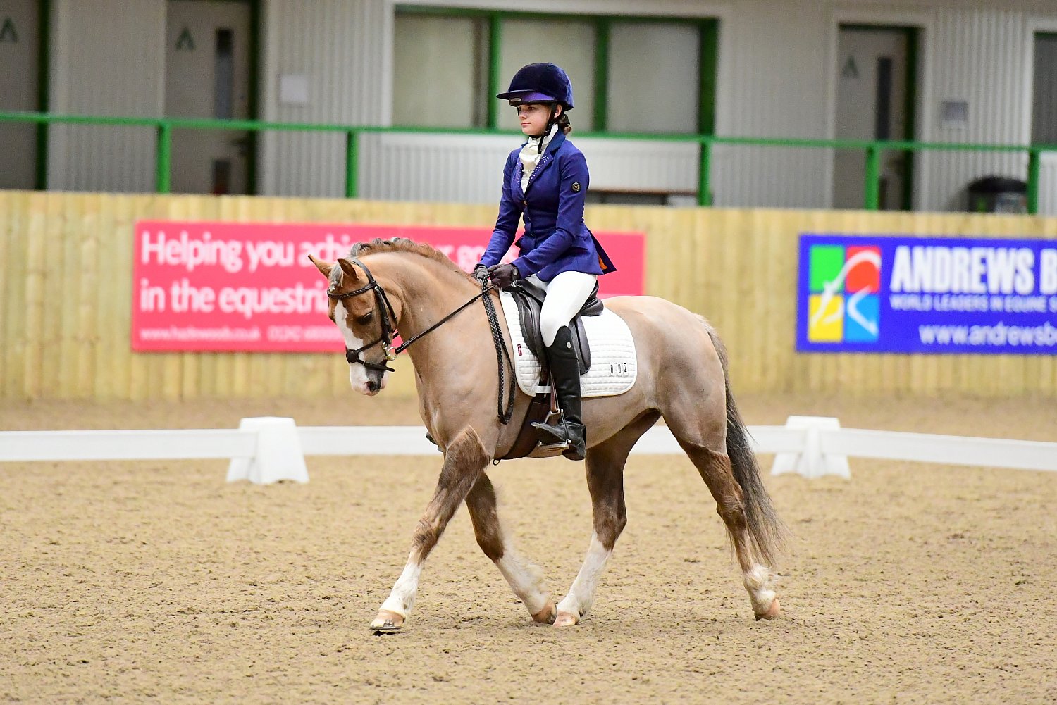 Hartpury Unaff Evening Dressage - 9/2/24 - Equine Event Galleries ...