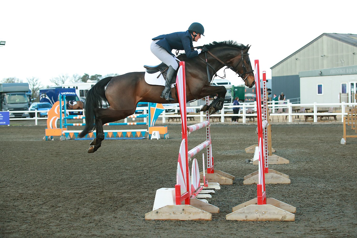 Prestige C1 inc BC Diamond Qual & Club BS - 18/2/24 - Equine Event ...