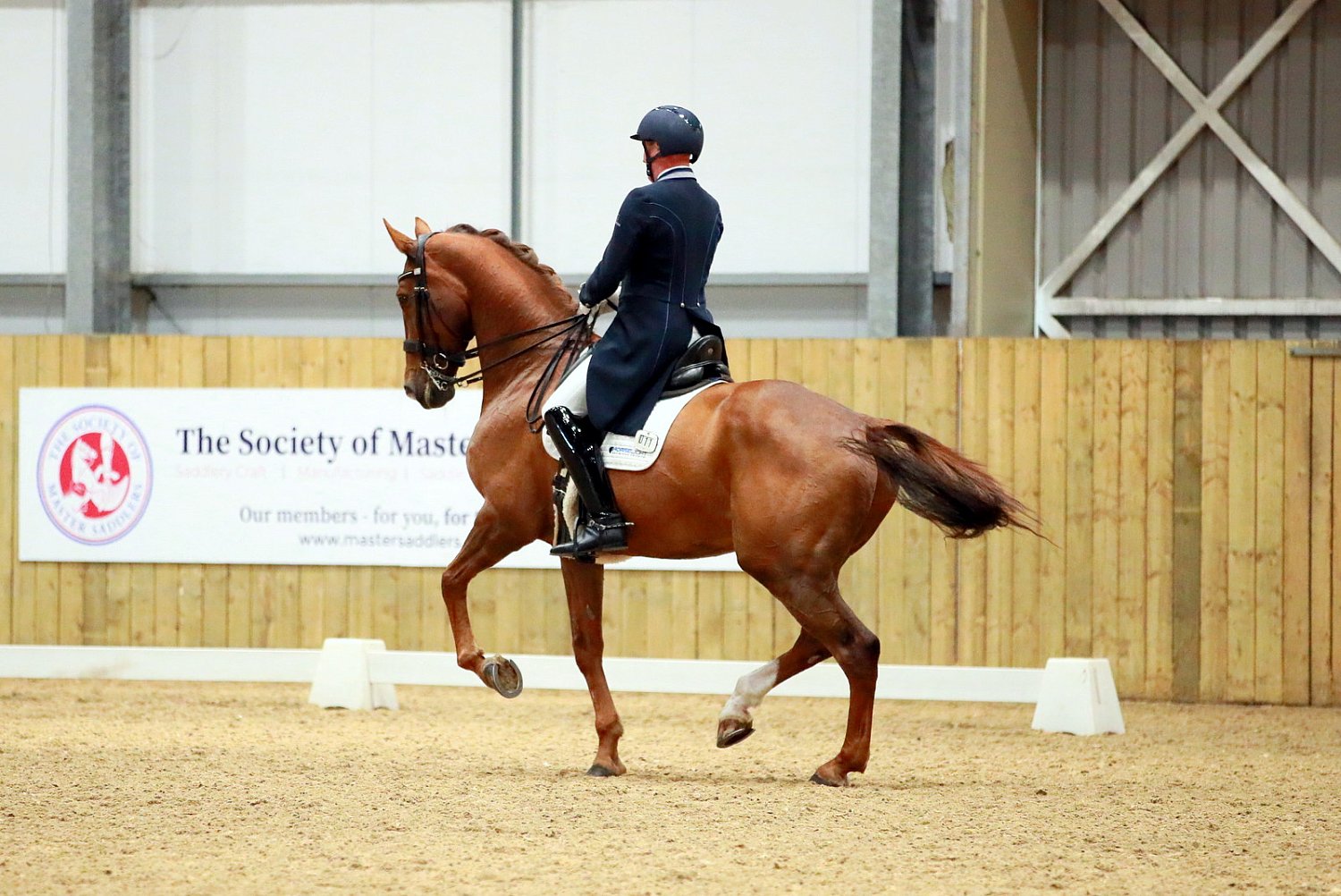 Hartpury BD - 15-16th June 2024 - Equine Event Galleries - 2024 ...