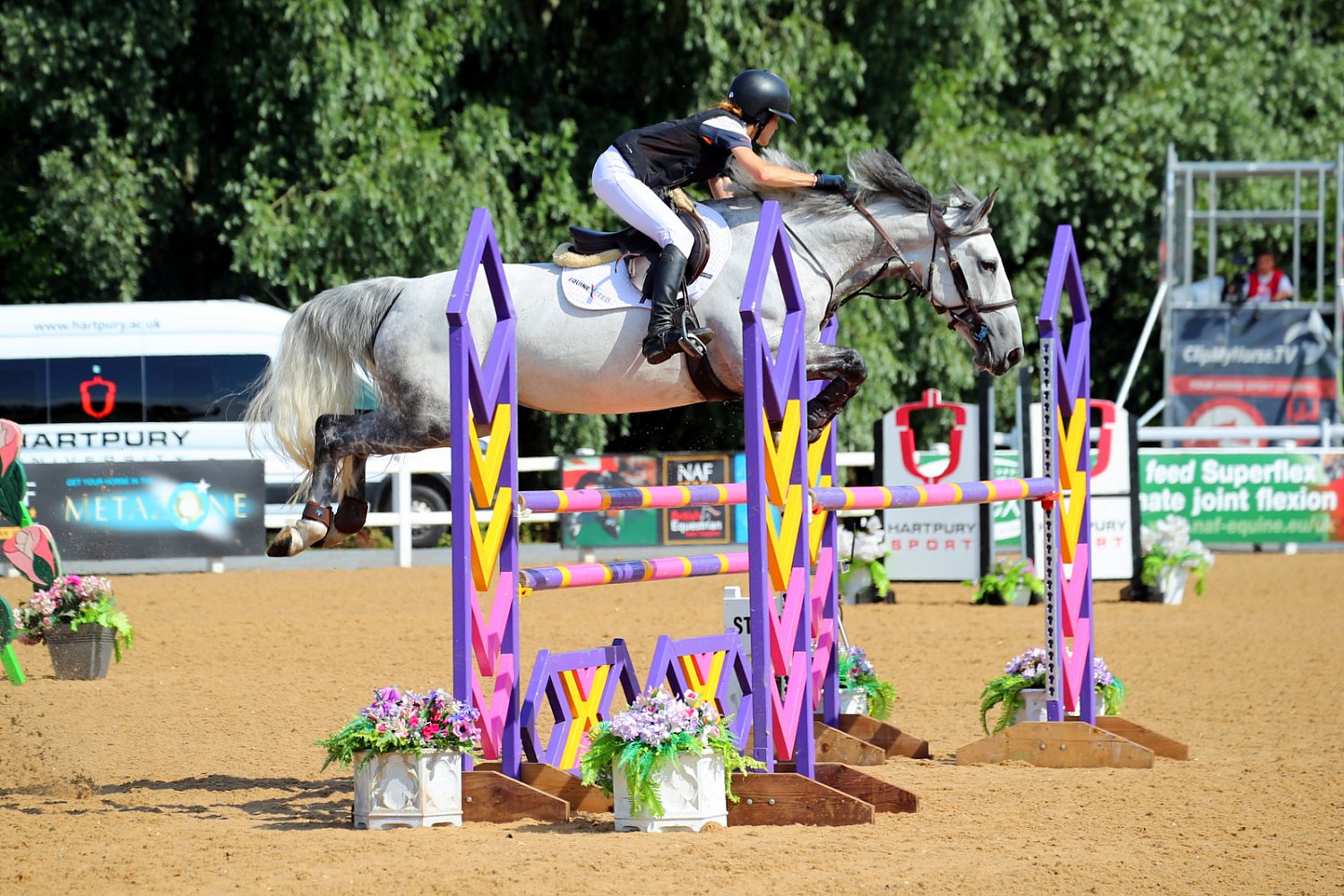 Hartpury Show Jumping Spectacular 2024 - Equine Event Galleries - 2024 ...
