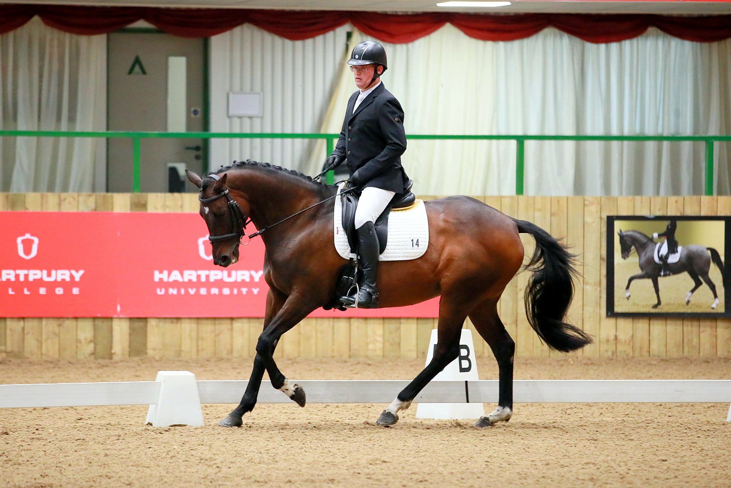 Hartpury BD - 1/9/24 - Equine Event Galleries - 2024 - Jasmine Punter ...