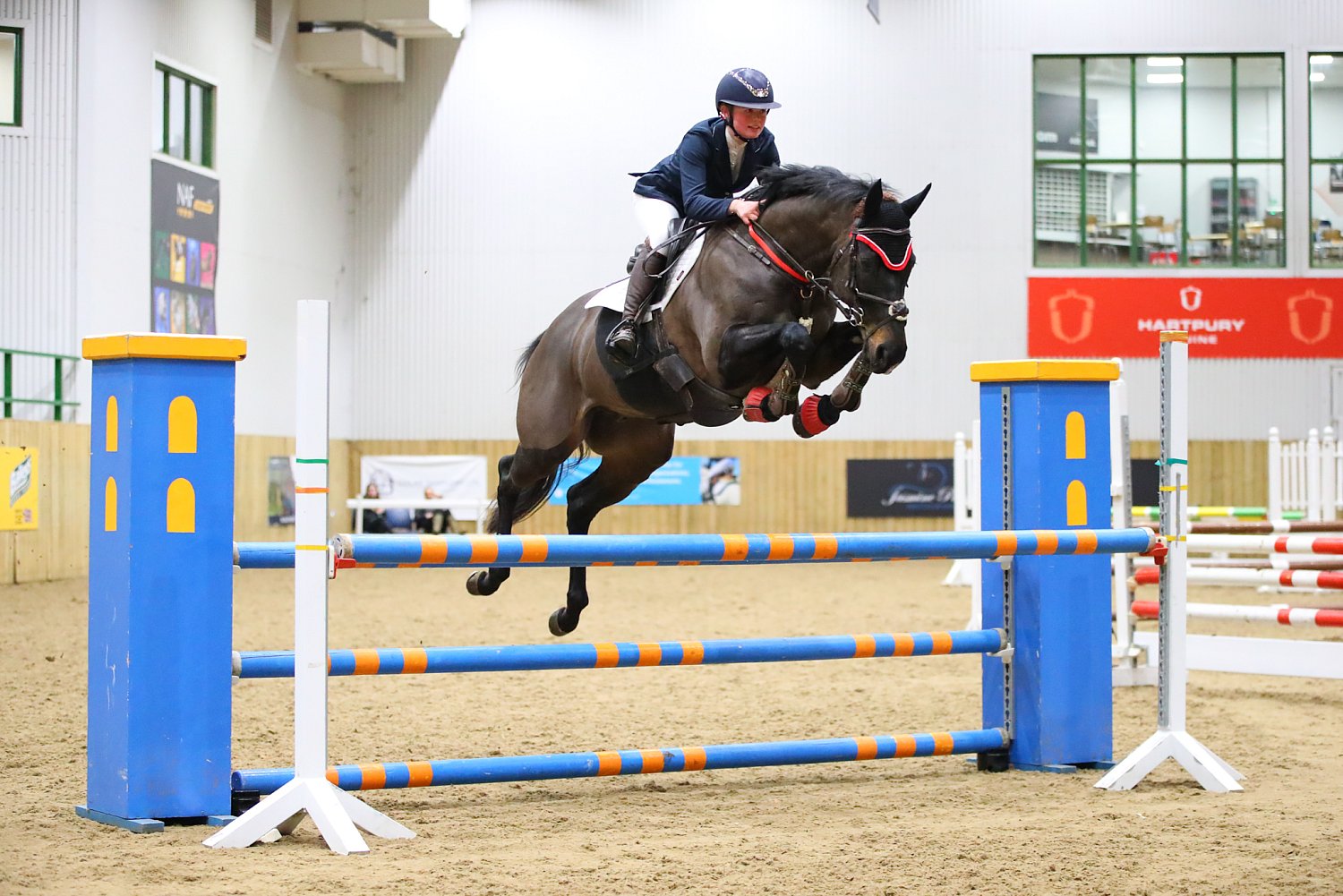 Hartpury BS inc BC Diamond Qualifier - 19/1/25 - Equine Event Galleries ...
