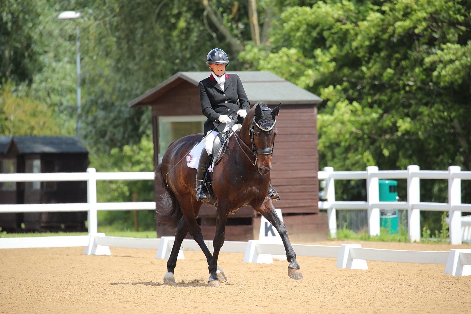 Hartpury BD - 14/6/25 - Equine Event Galleries - 2025 - Jasmine Punter ...