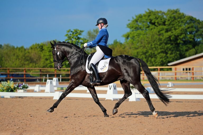 Equine Event Photography - Jasmine Punter Photography