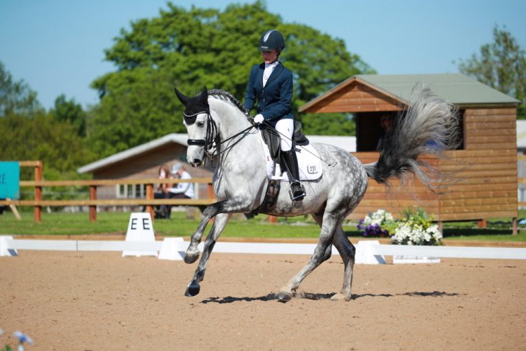 Equine Event Photography - Jasmine Punter Photography